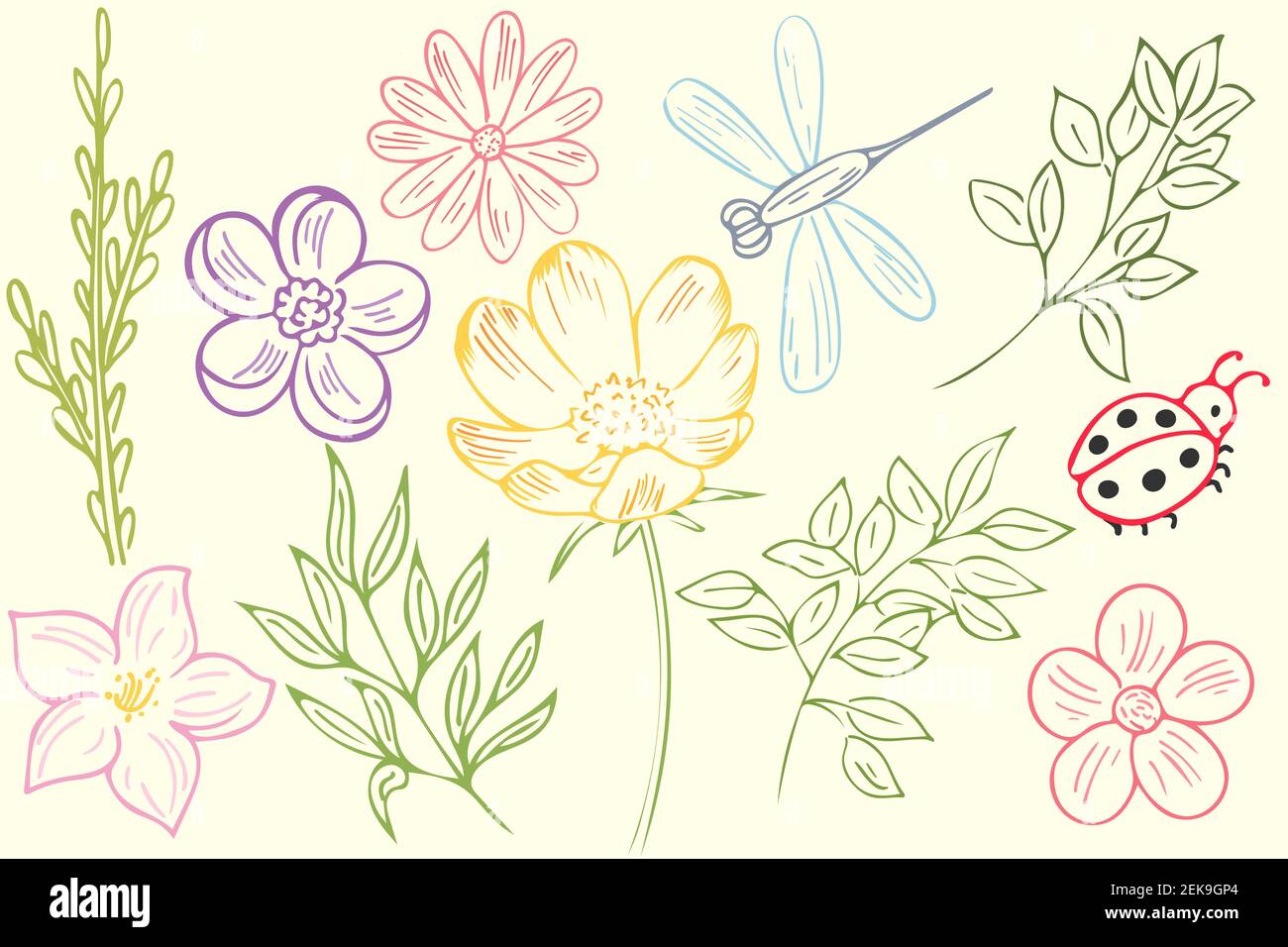 Set of flowers and branches, ladybug dragonfly. Vector, spring elements ...