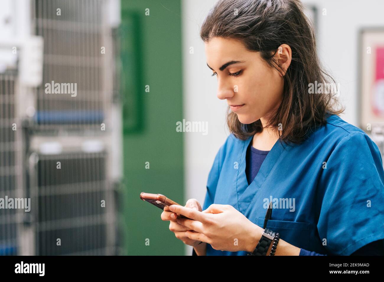 Female nurse using mobile phone in hospital Stock Photo - Alamy