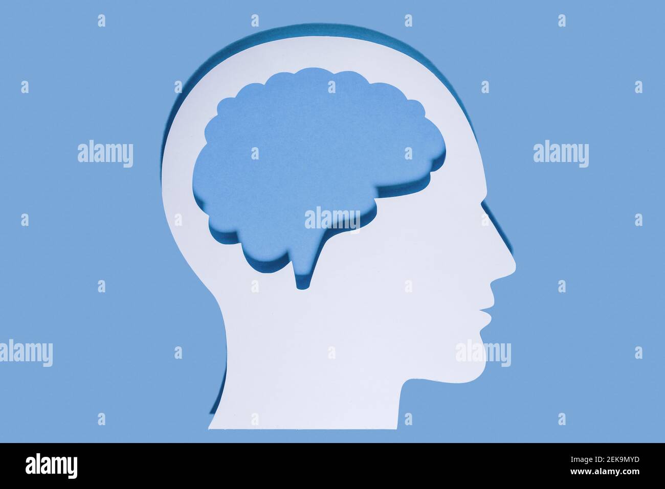 Human brain white background hi-res stock photography and images - Alamy