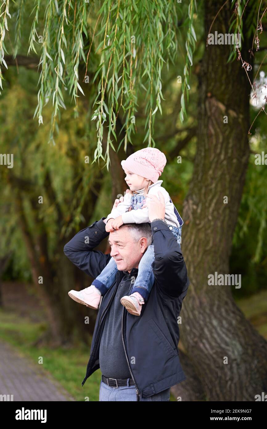 Grandfather carrying granddaughter on shoulders against tree in park ...