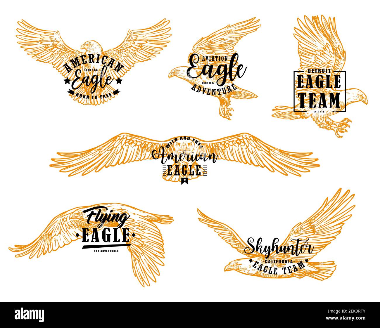 Eagle bird sketches with letterings. Vector hawk, falcon or american ...