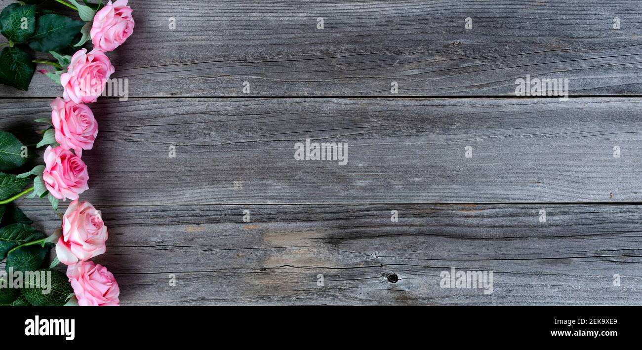 Pink roses over weathered wooden planks for love holiday concept ...