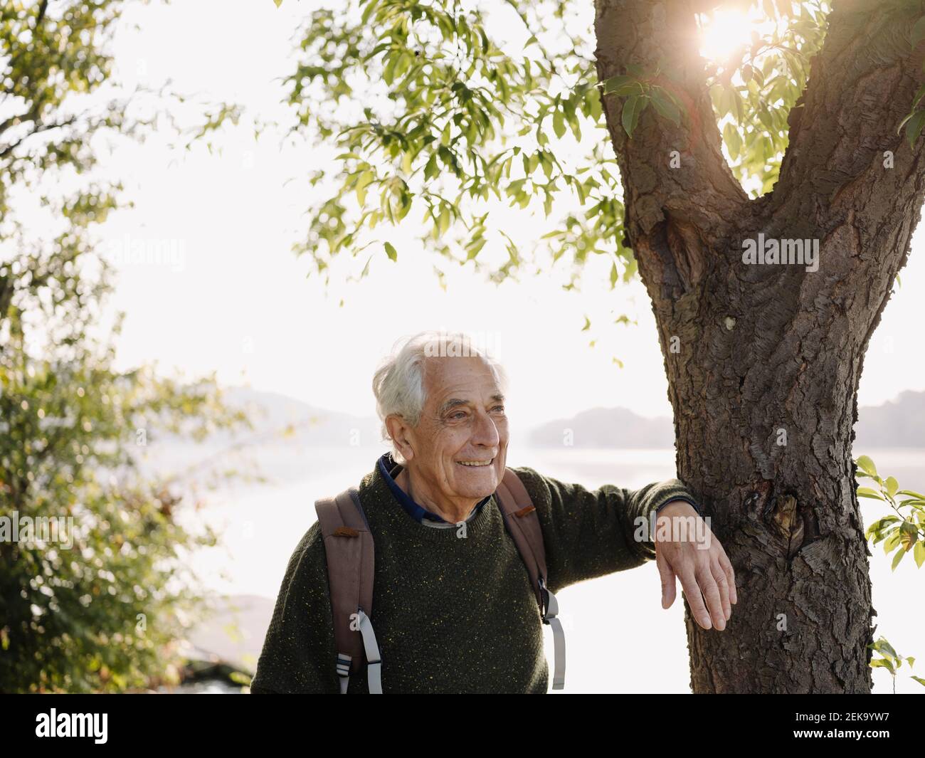 Tired tree hi-res stock photography and images - Alamy
