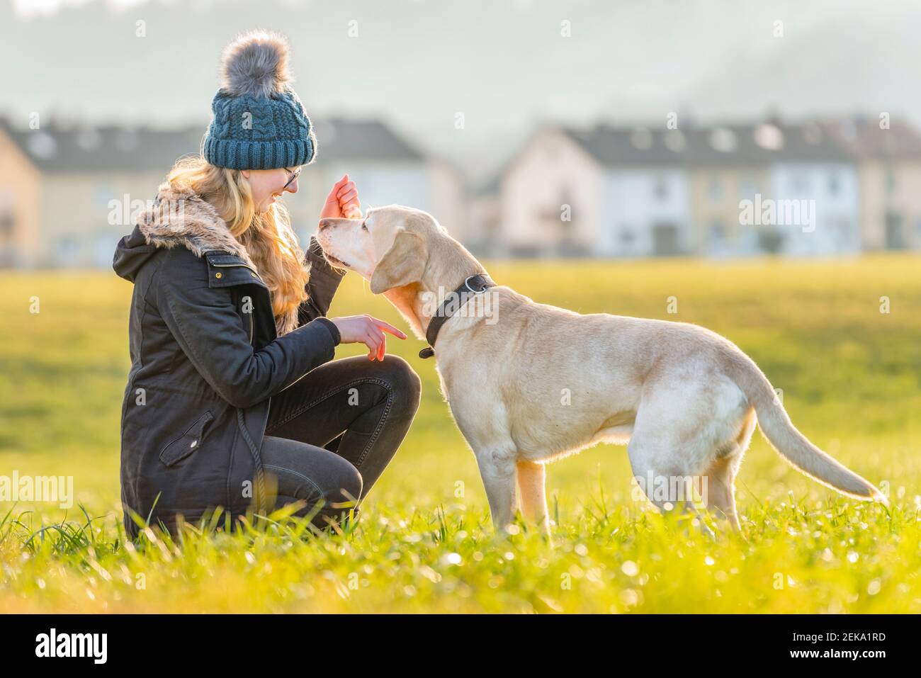 Pet in the nature hi-res stock photography and images - Alamy