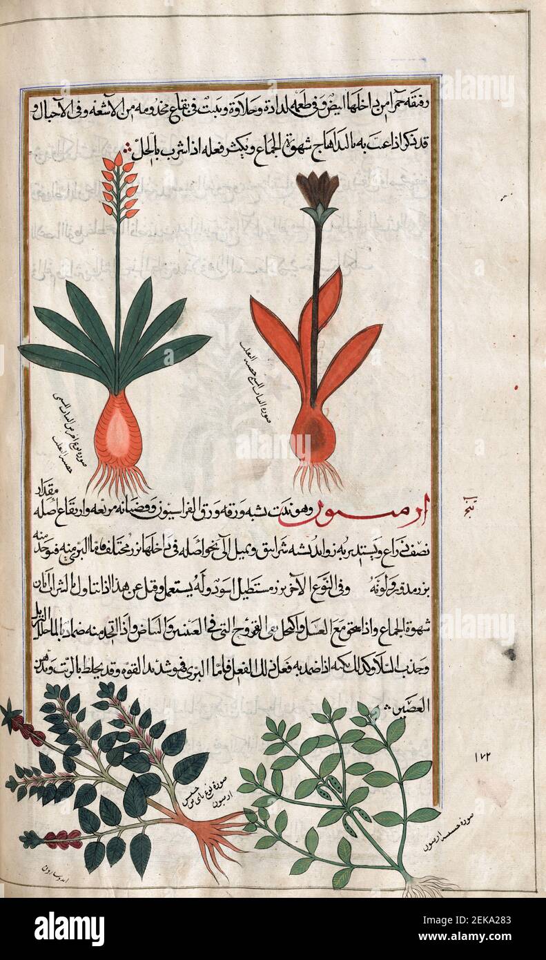 Muslim Medicine Herbs