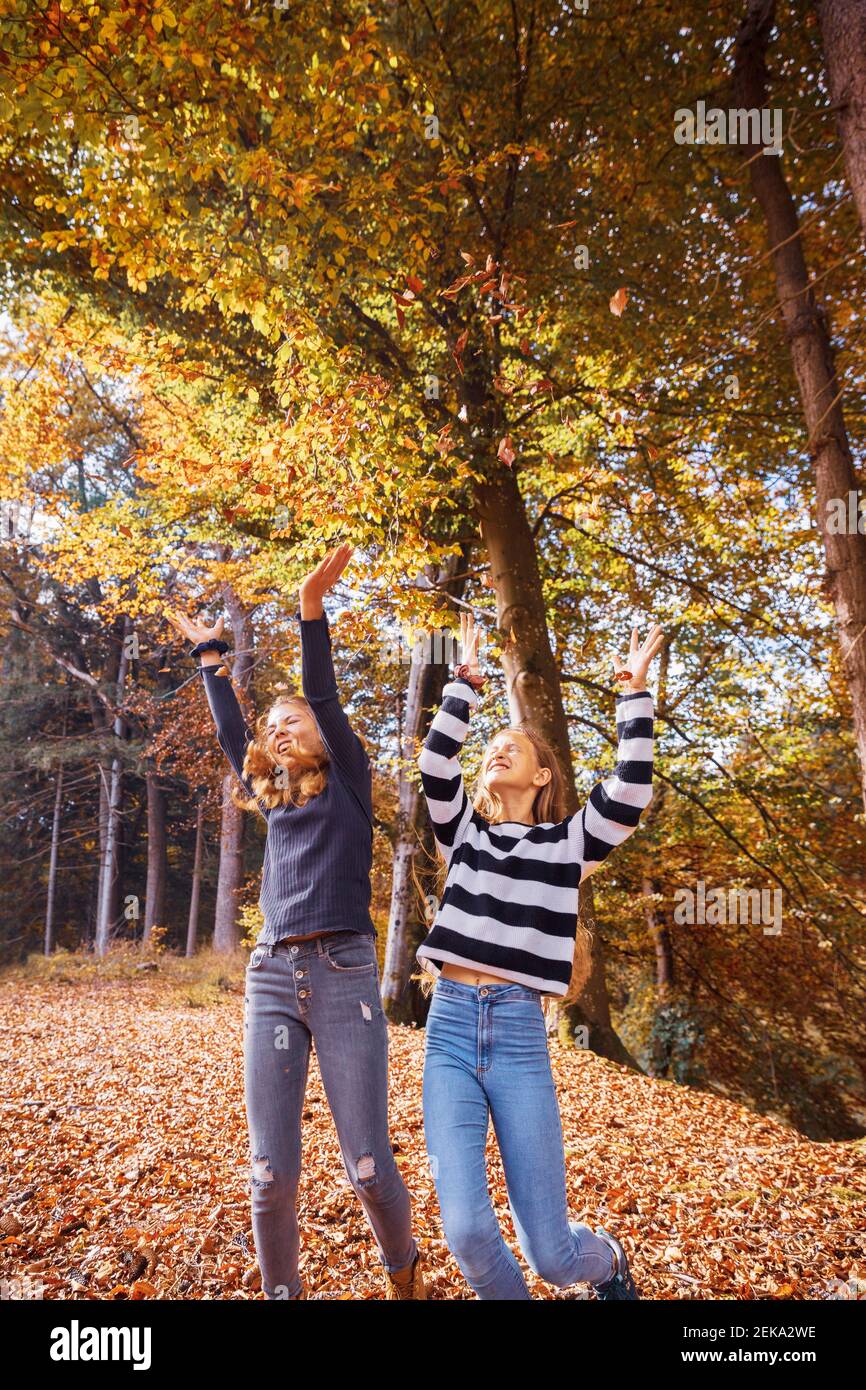 Throwing plant hi-res stock photography and images - Alamy