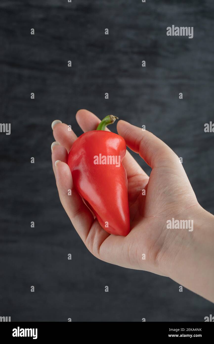 Female hand holding a whole fresh red pepper Stock Photo - Alamy