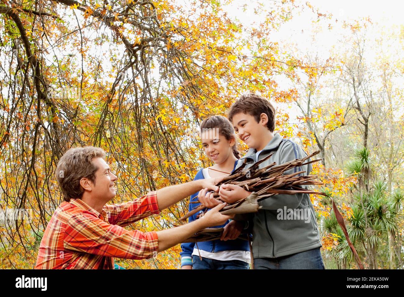 Which he has been collecting for 50 years hi-res stock photography and ...