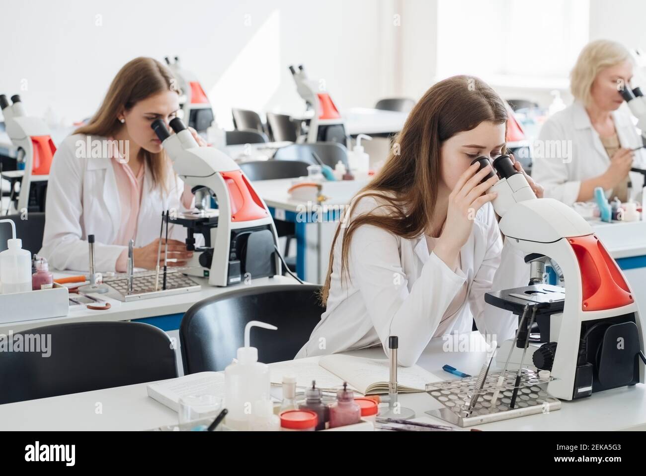Researchers in white coats working with microscopes in lab Stock Photo - Alamy
