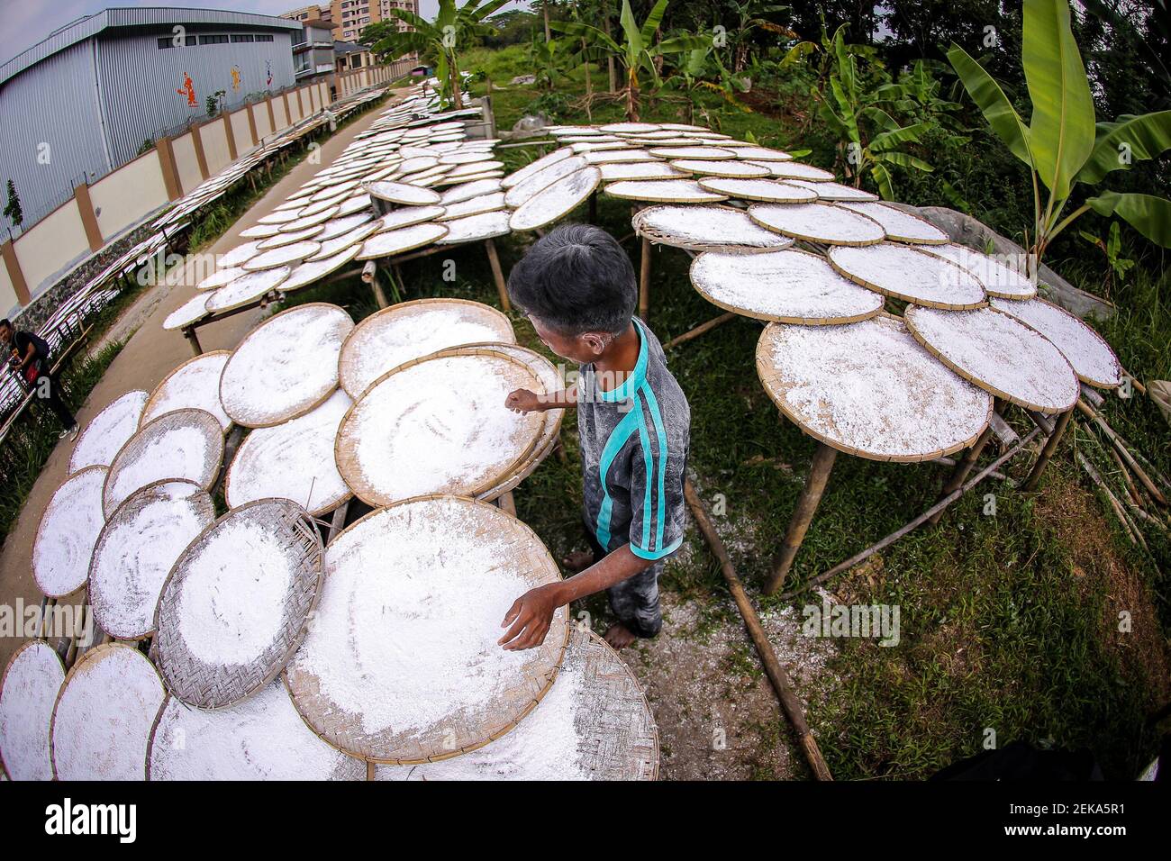 A worker seen drying cassava for making a sago, on July 20, 2020, in ...