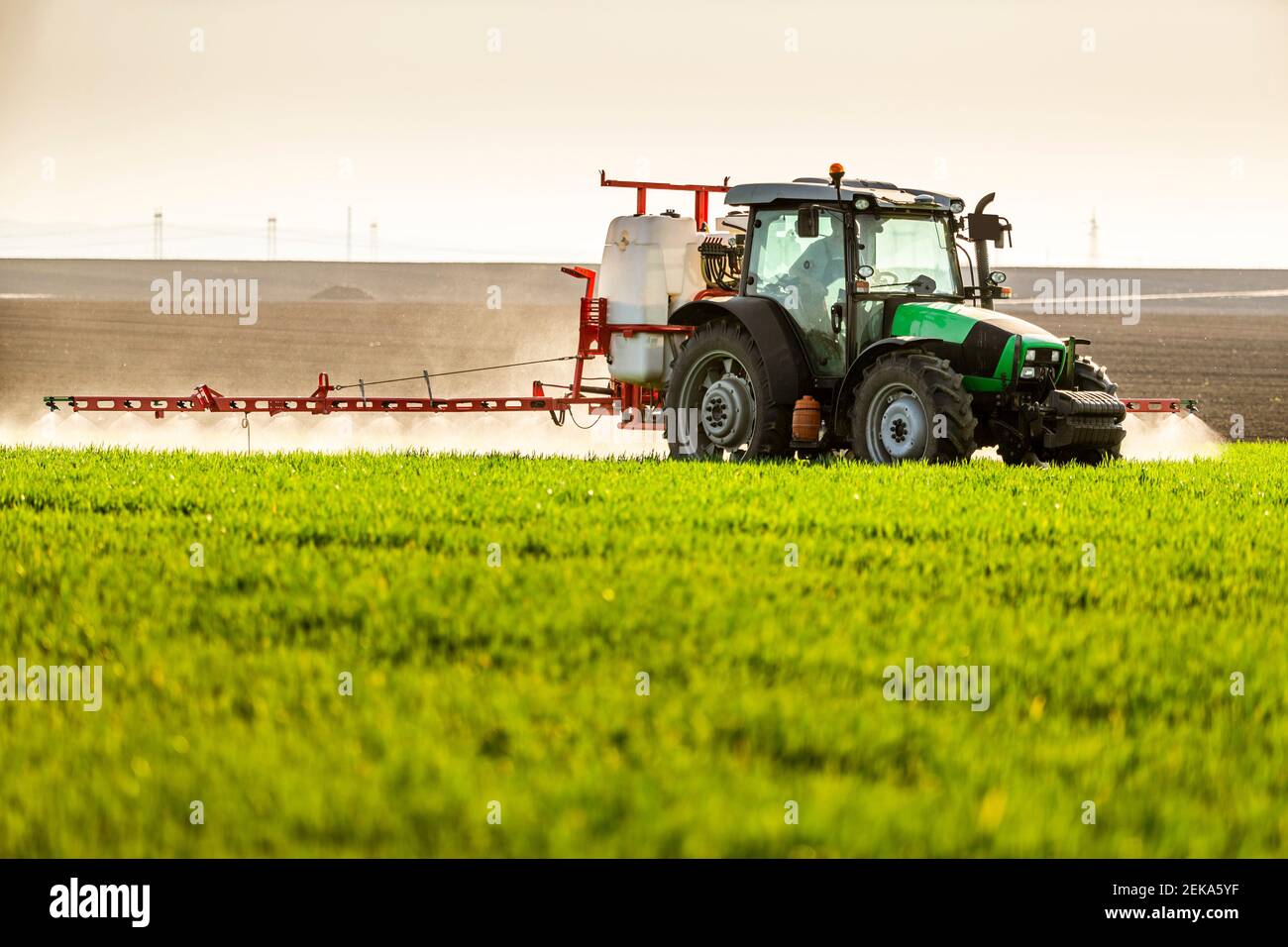 Farmer spraying green crop with tractor in farm Stock Photo - Alamy
