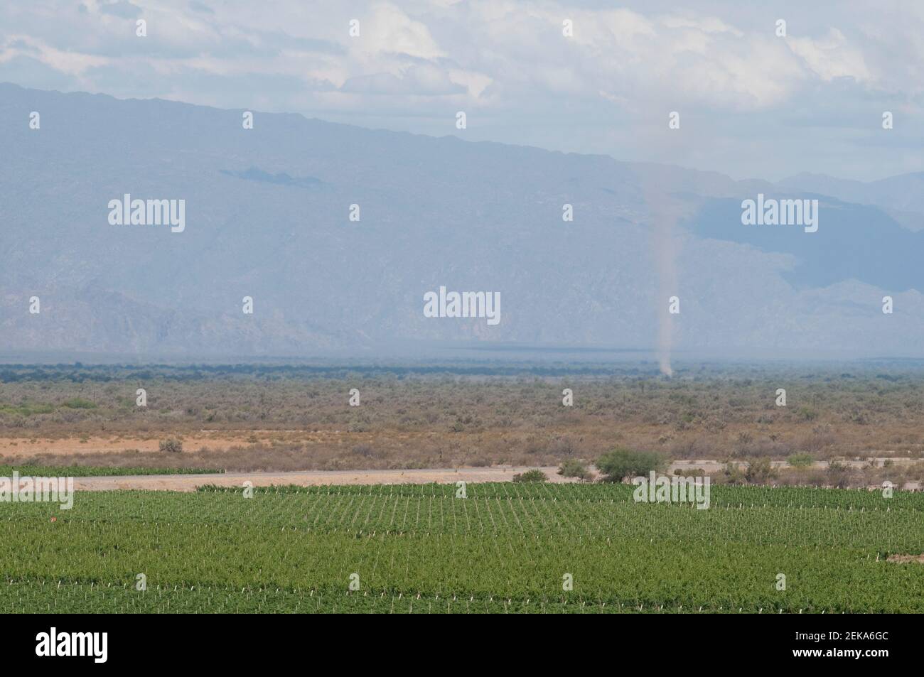 Argentina chilecito hi-res stock photography and images - Alamy