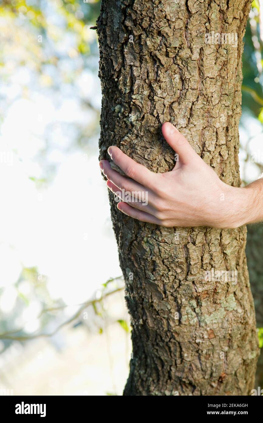 Man hugging a tree Stock Photo - Alamy