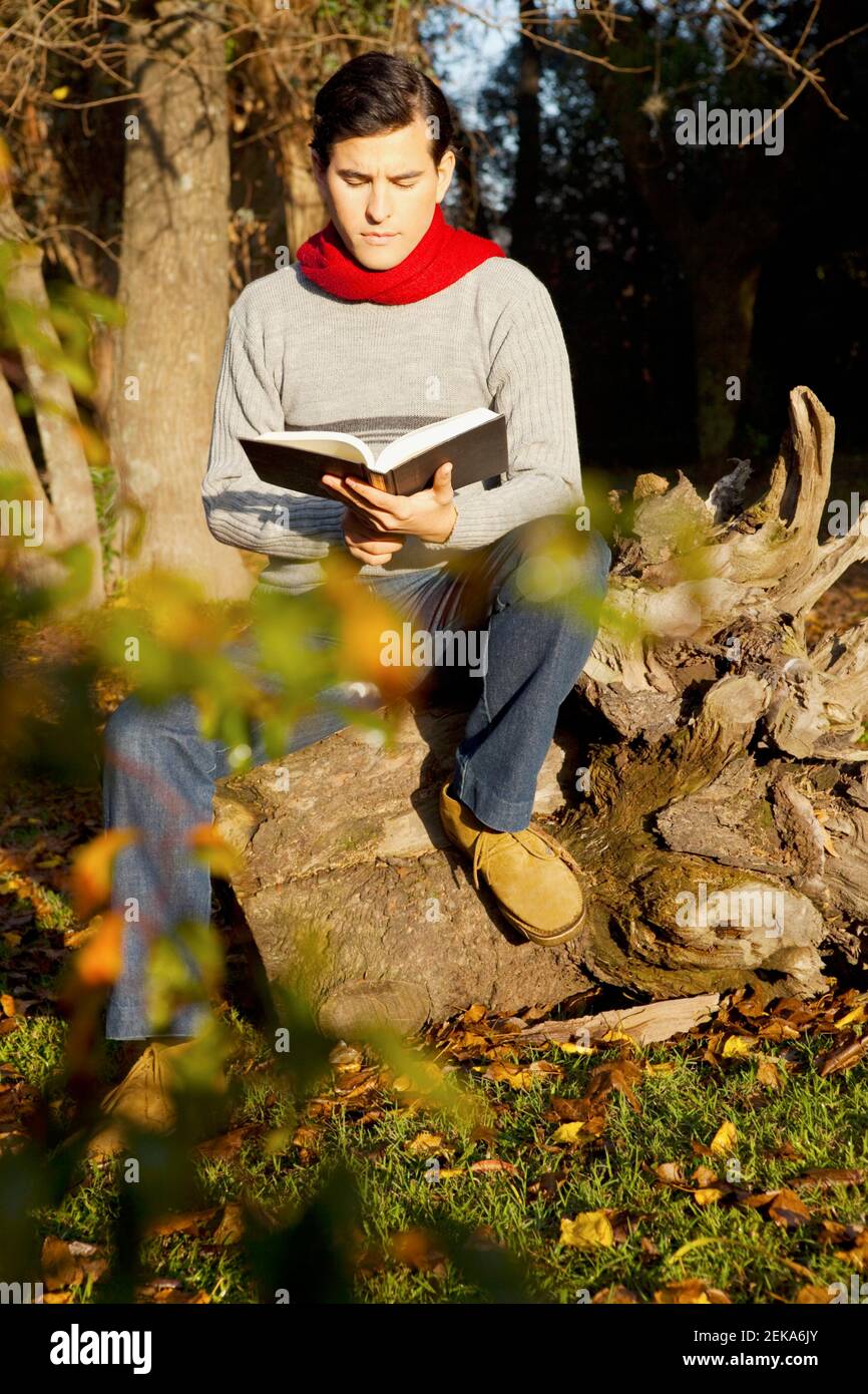 Man sitting under a tree and reading a book Stock Photo - Alamy