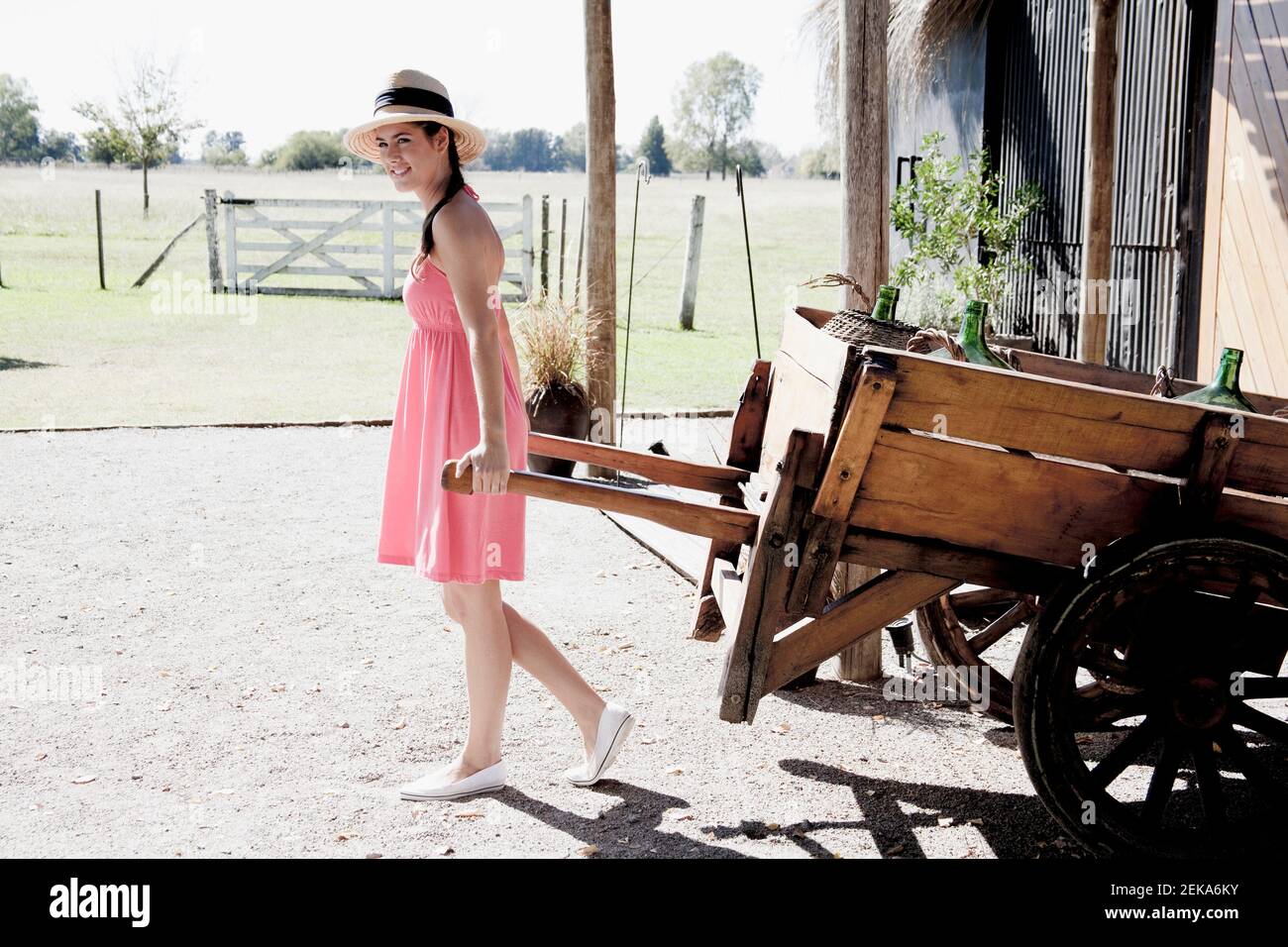 Woman pulling a cart in a park Stock Photo - Alamy