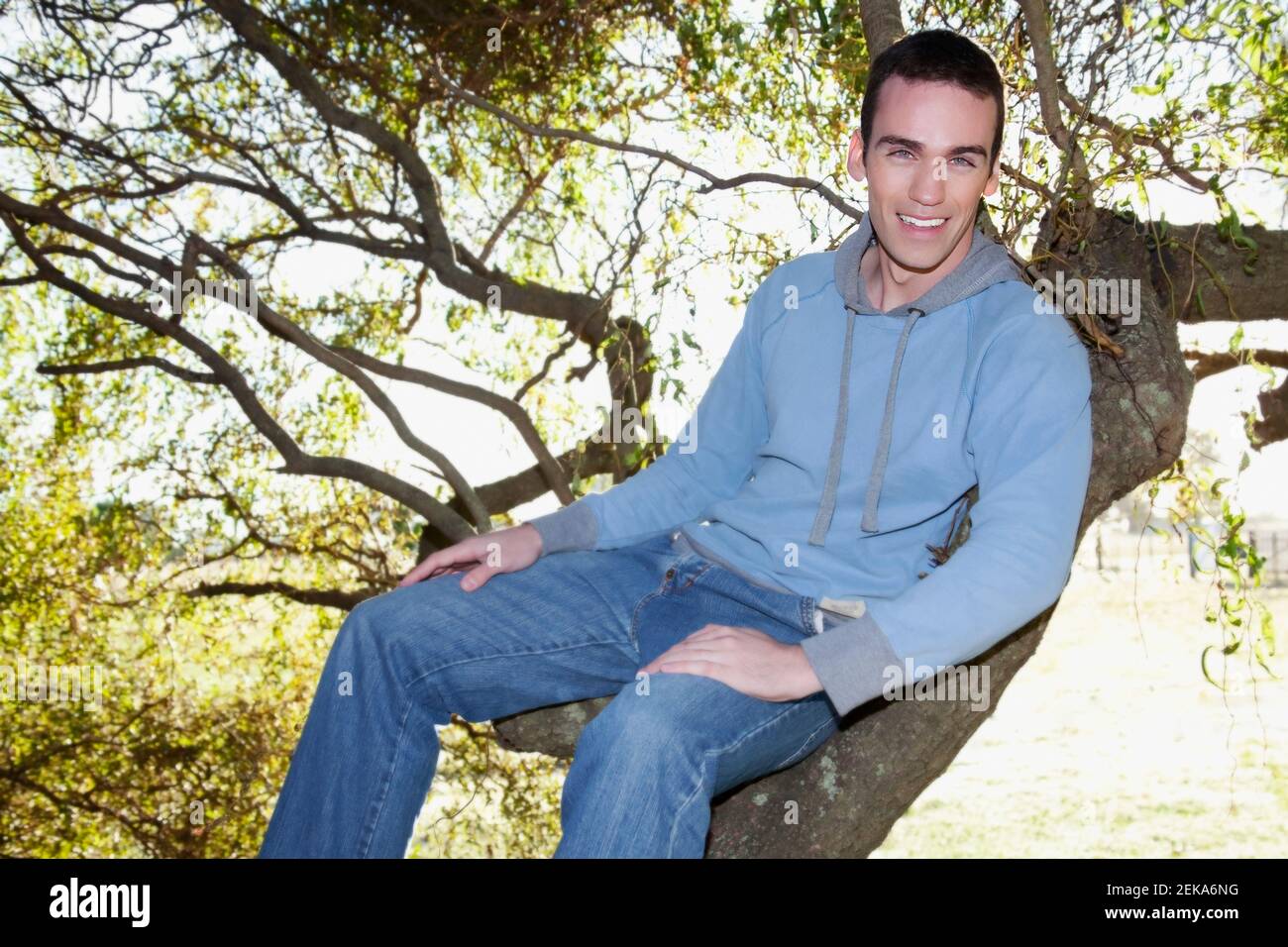 Man sitting on a tree in a garden Stock Photo - Alamy