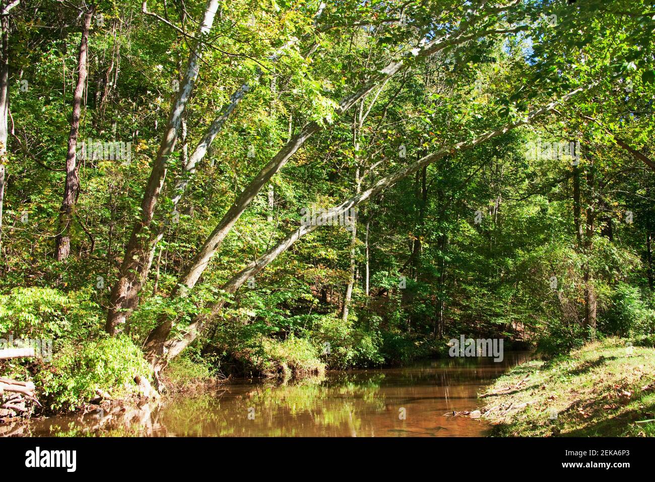 Non amish hi-res stock photography and images - Alamy