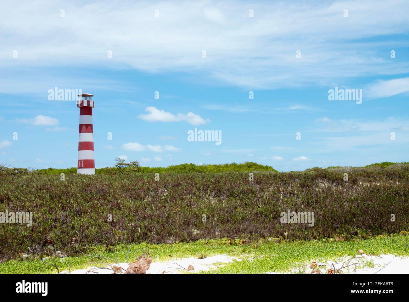 Lighthouse on the beach Stock Photo - Alamy