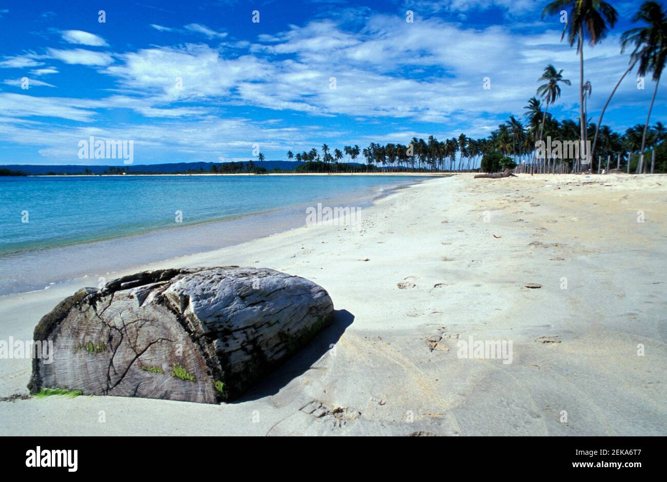 Log on the beach Stock Photo - Alamy