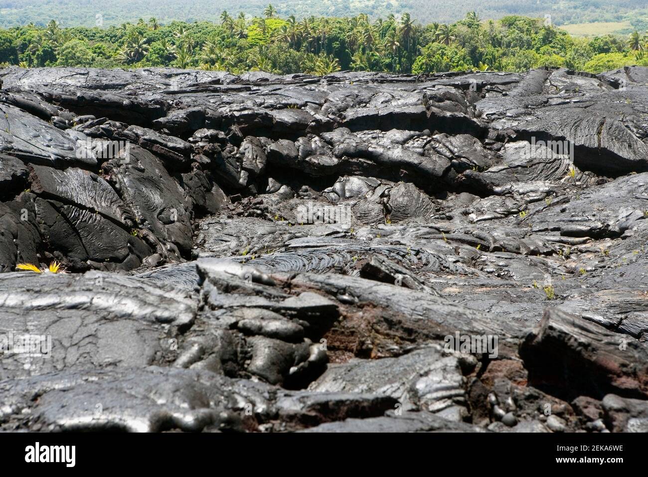 Dried lava, Kalapana, Big Island, Hawaii, USA Stock Photo - Alamy