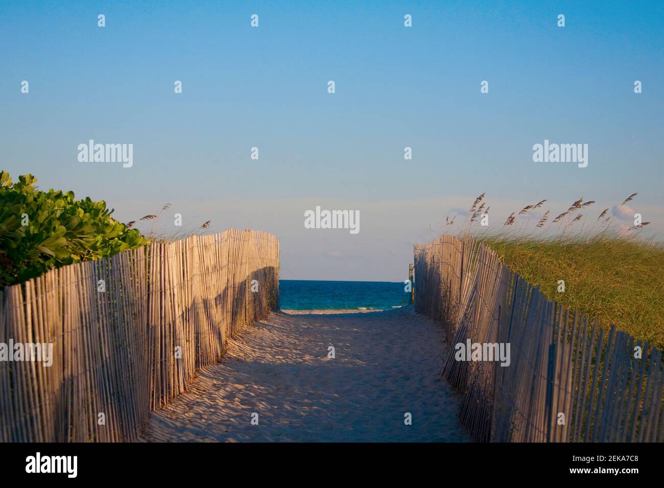 Pathway beach miami beach hi-res stock photography and images - Alamy