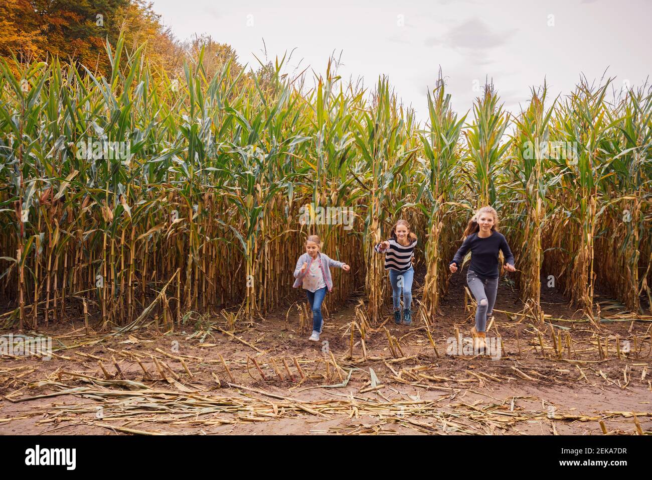 Group children running field hi-res stock photography and images - Alamy
