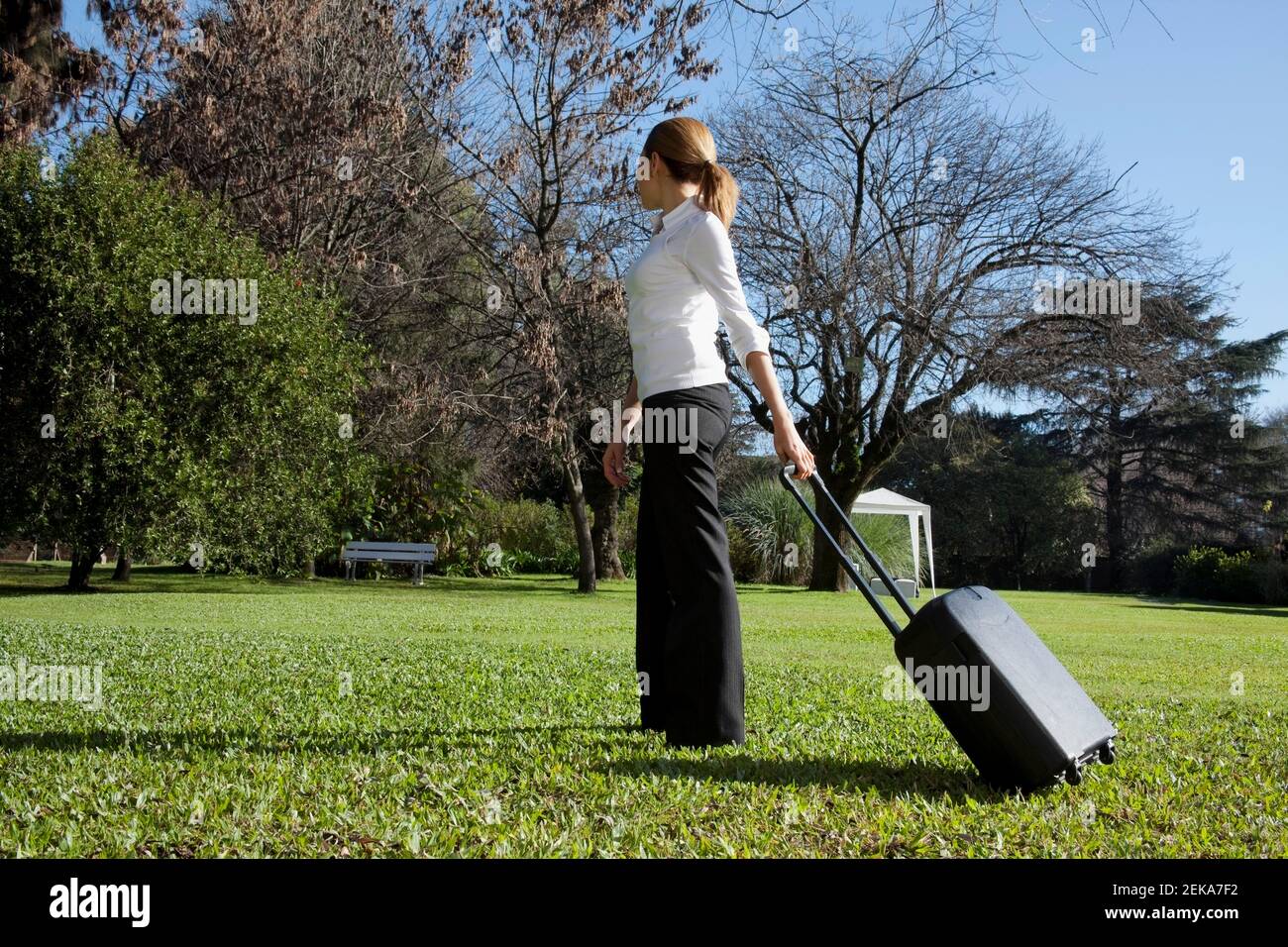 Businesswoman pulling a suitcase in a park Stock Photo - Alamy