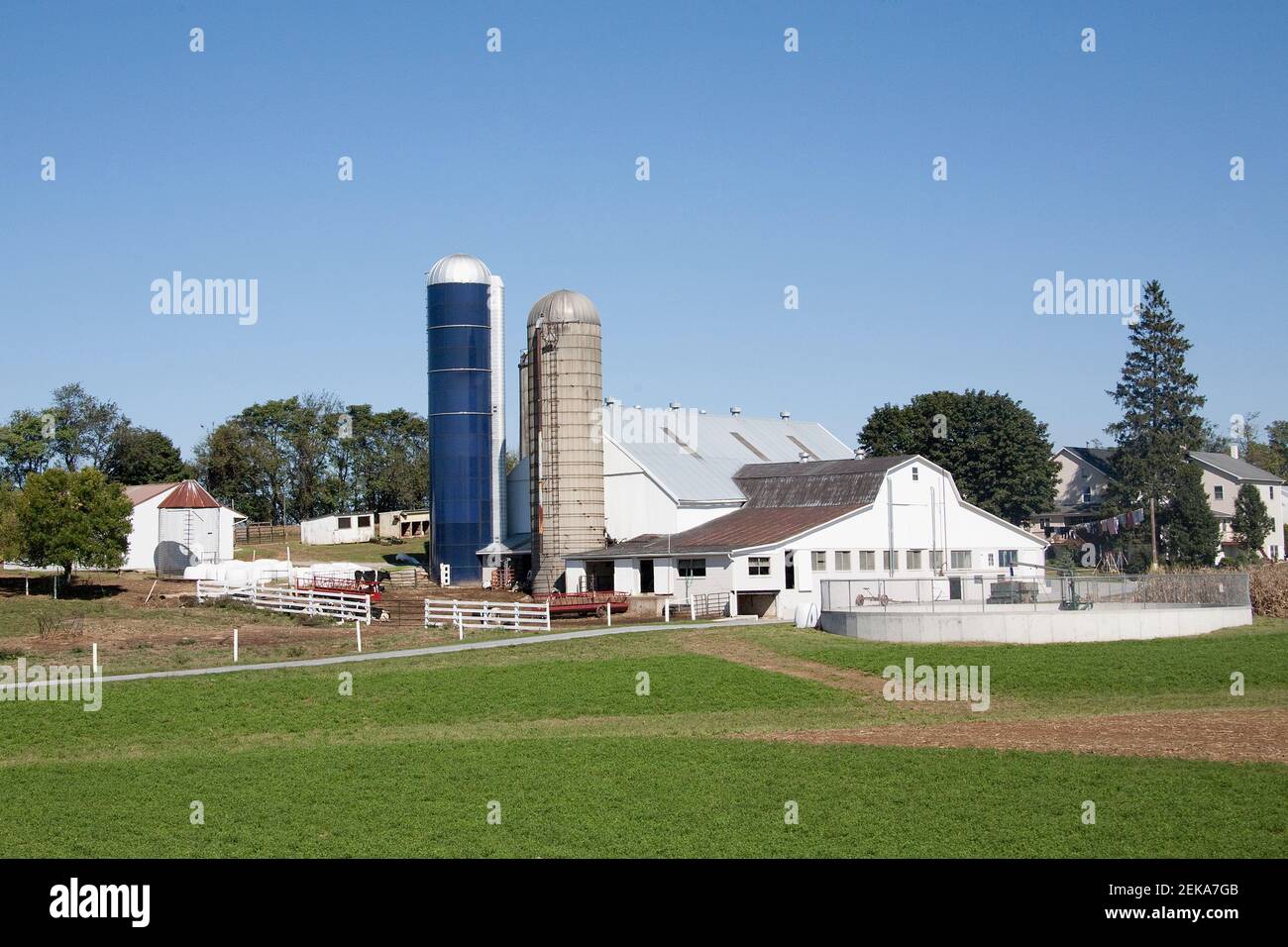 Barn and silos in a farm, Amish Farm, Lancaster, Pennsylvania, USA ...