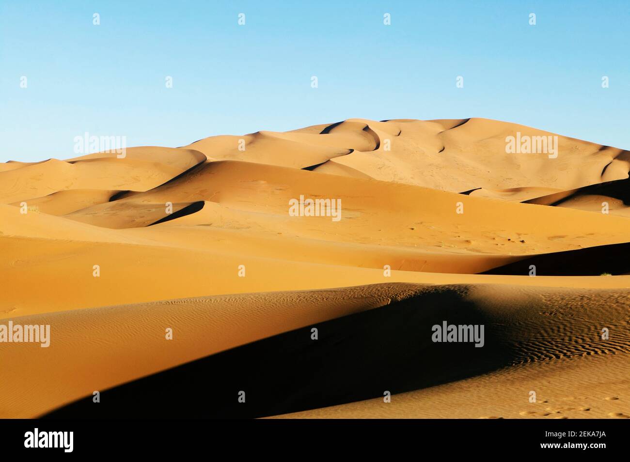 Sand dunes in a desert, Morocco Stock Photo - Alamy