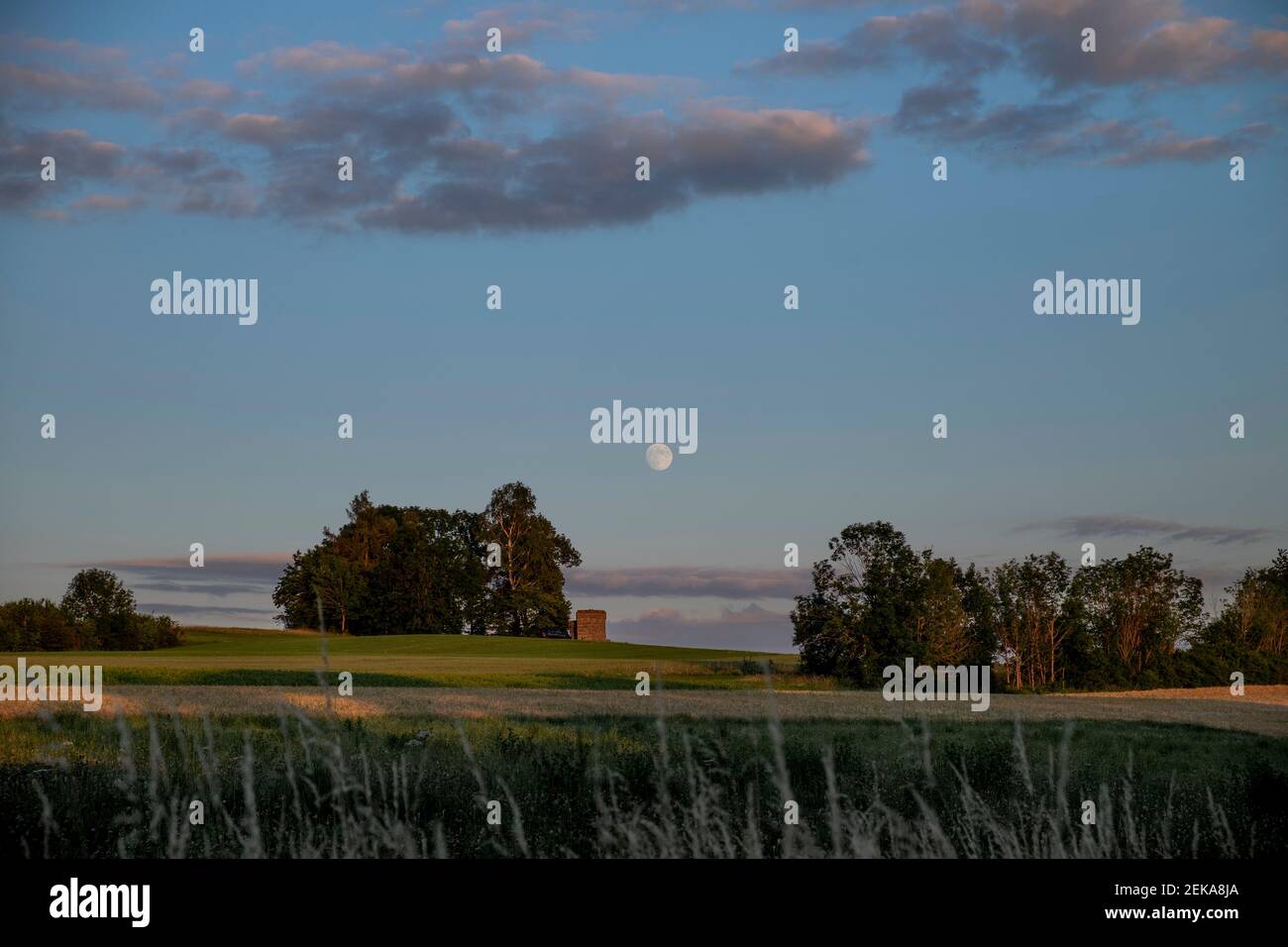 Empty agricultural landscape hi-res stock photography and images - Alamy