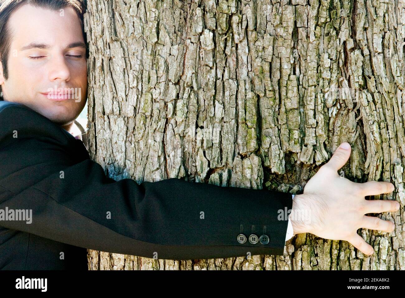 Businessman hugging a tree Stock Photo - Alamy