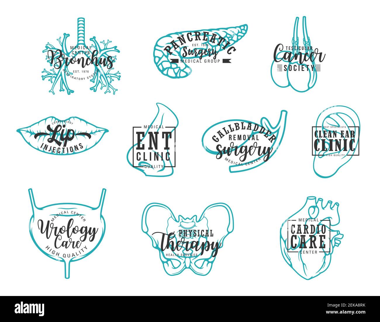 Human anatomy organs label Cut Out Stock Images & Pictures - Alamy
