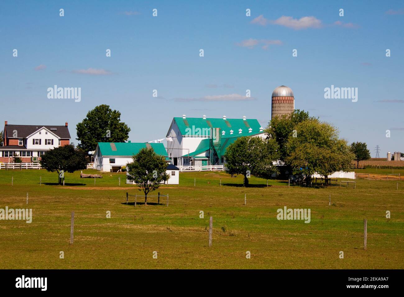 Agricultural buildings in a farm, Amish Farm, Lancaster, Pennsylvania ...
