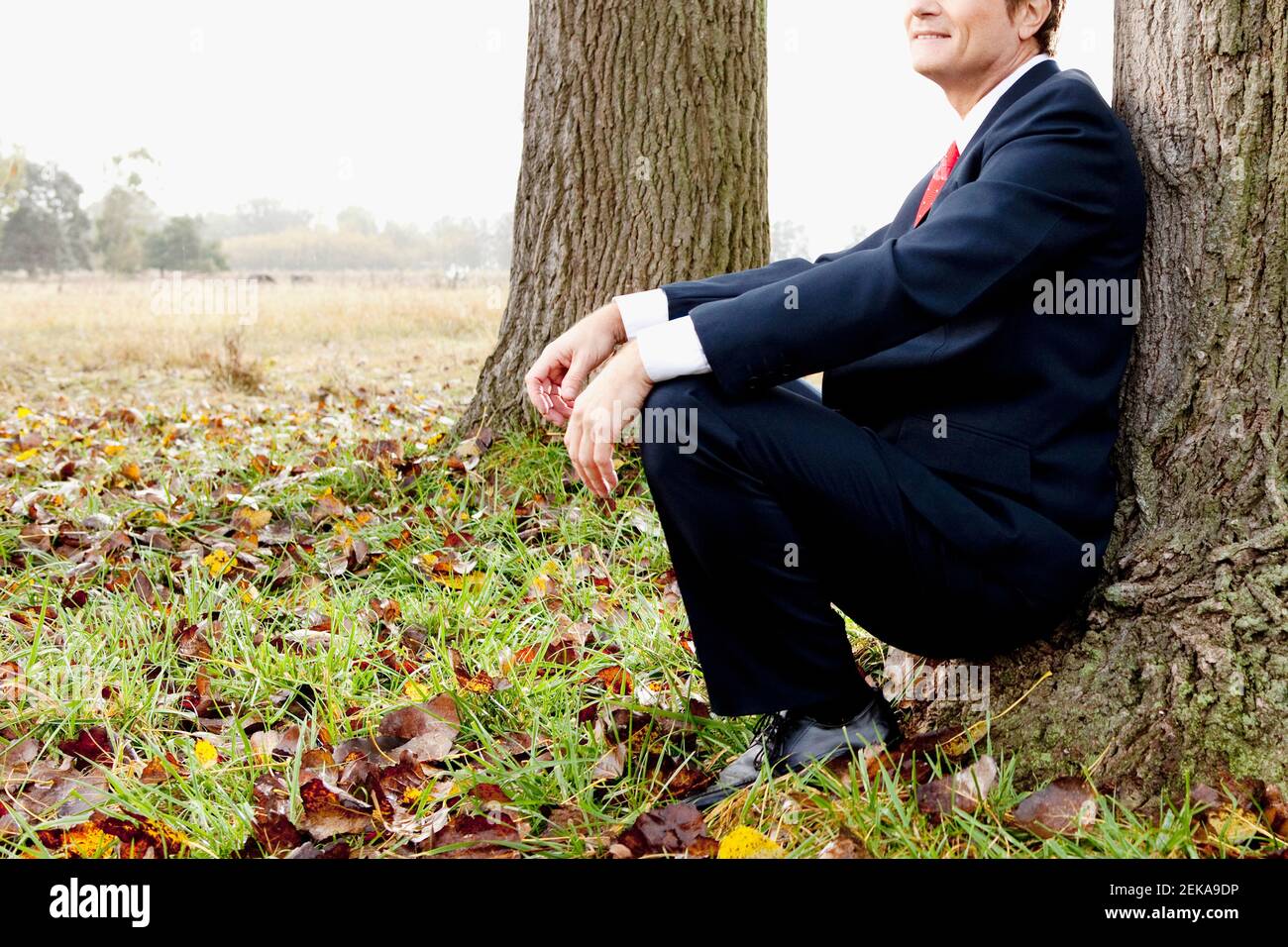 Businessman leaning against a tree hi-res stock photography and images ...