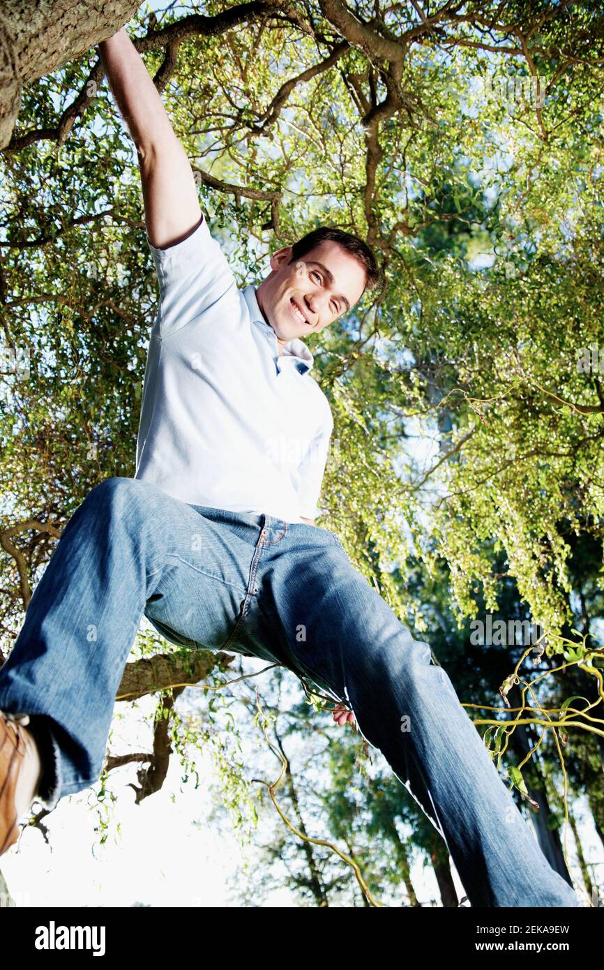 Man hanging on a tree branch Stock Photo - Alamy