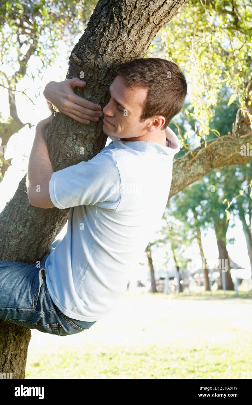 Man hugging a tree in a park Stock Photo - Alamy
