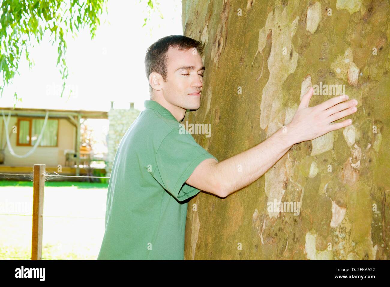 Man hugging a tree Stock Photo - Alamy