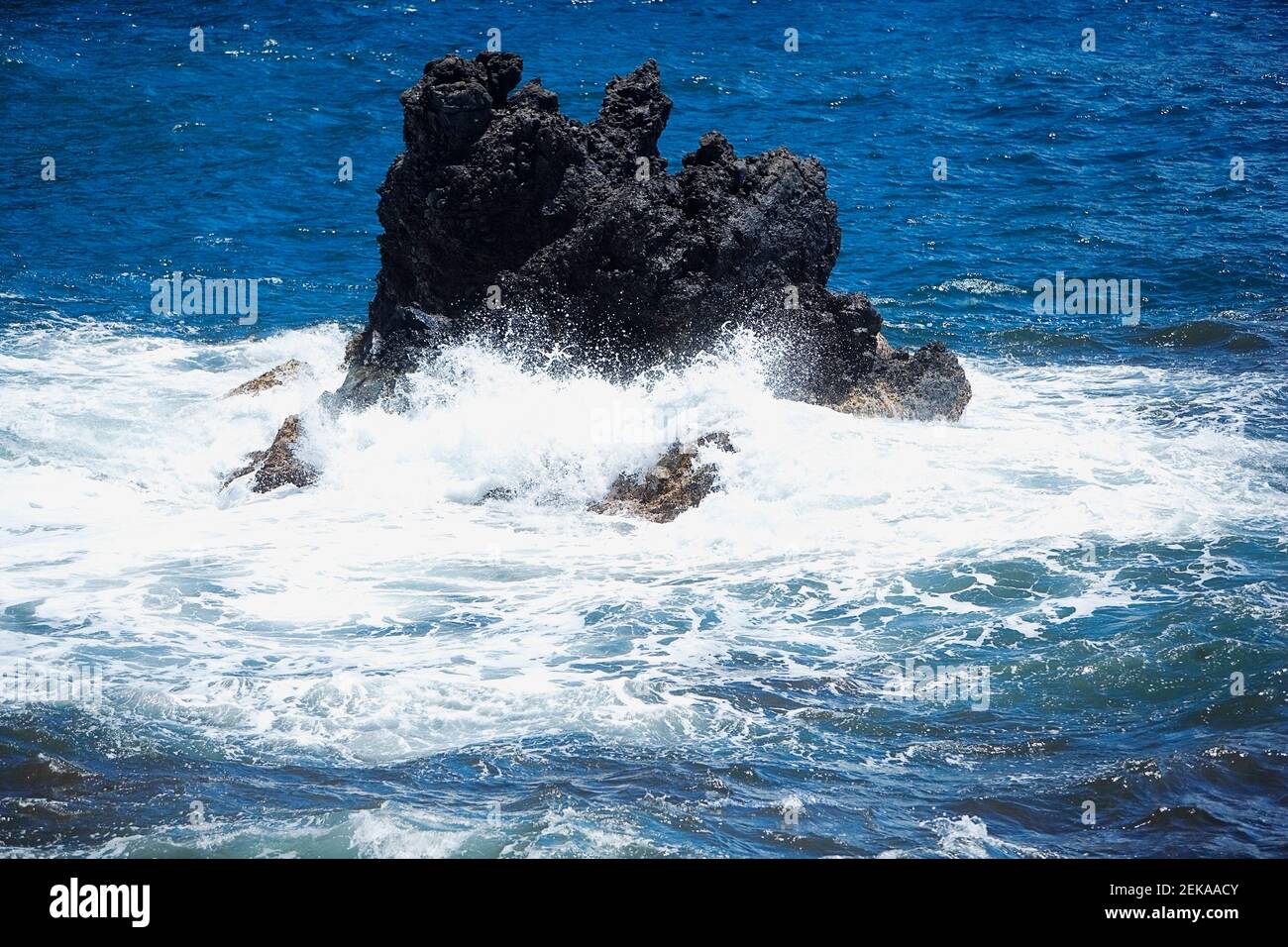 Rock formations in the ocean, Hawaii Tropical Botanical Garden, Hilo ...