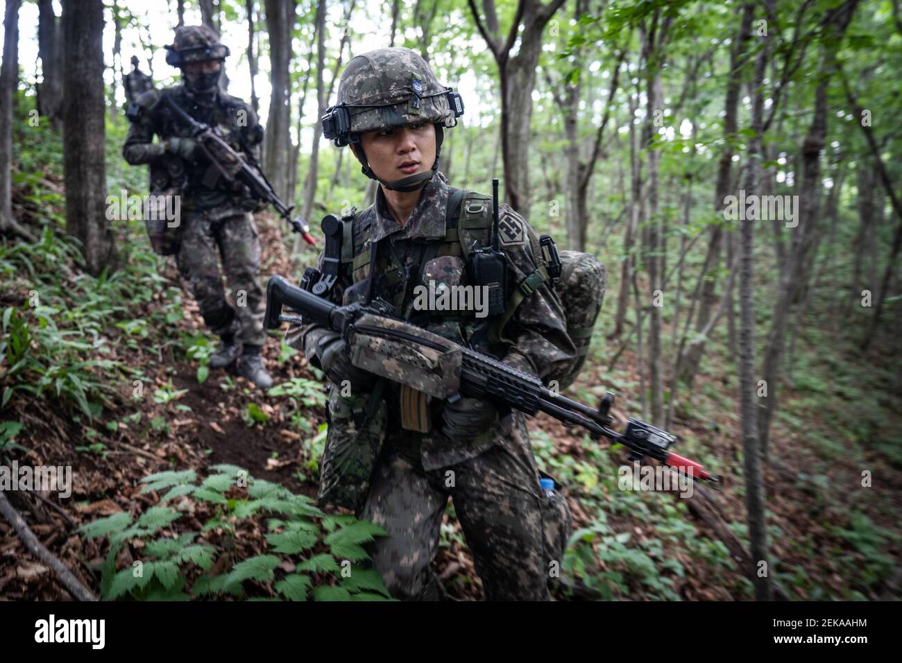 South Korean Army Training
