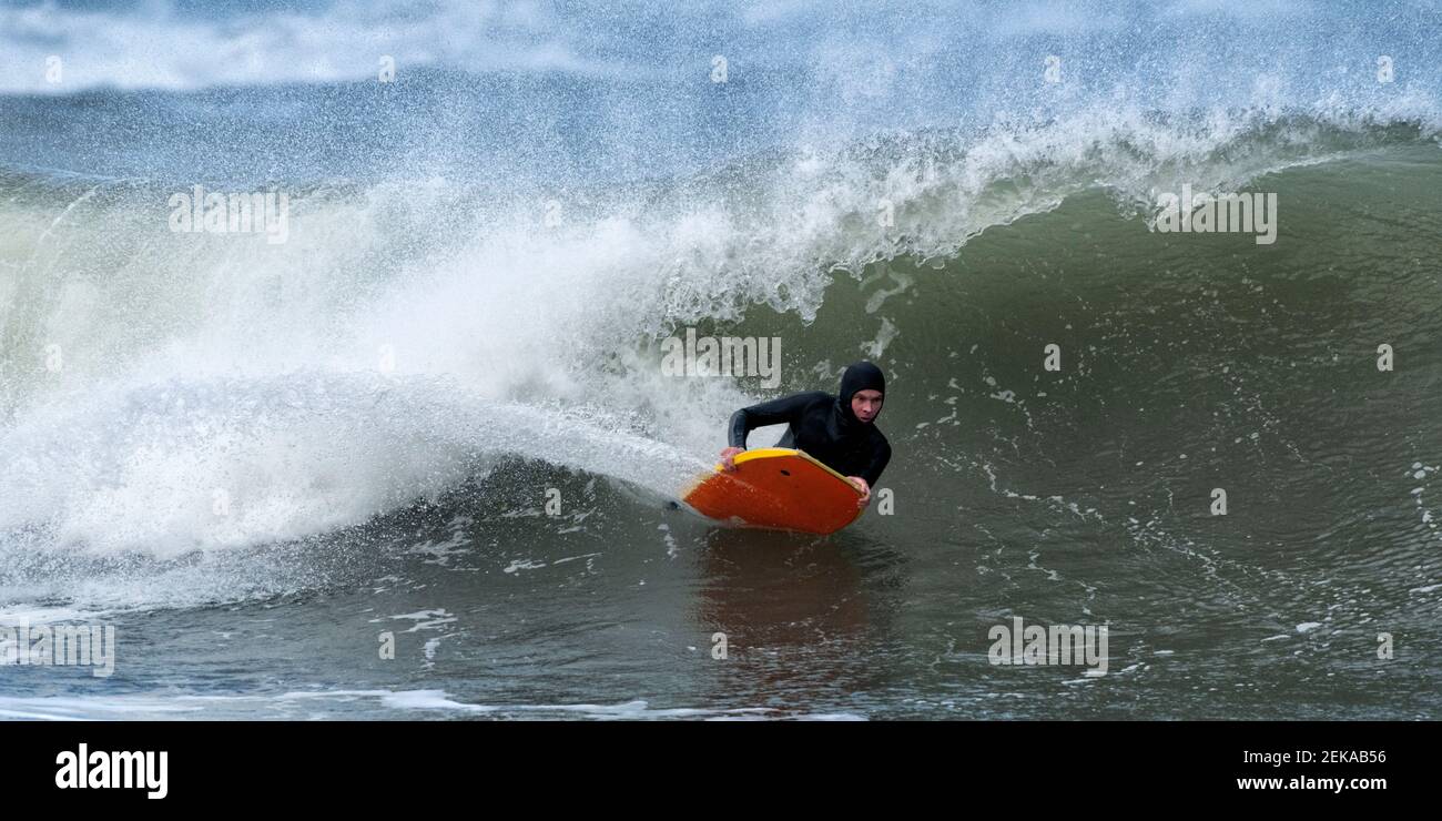 Mature male board surfer body boarding in sea at Broad Haven South, UK ...