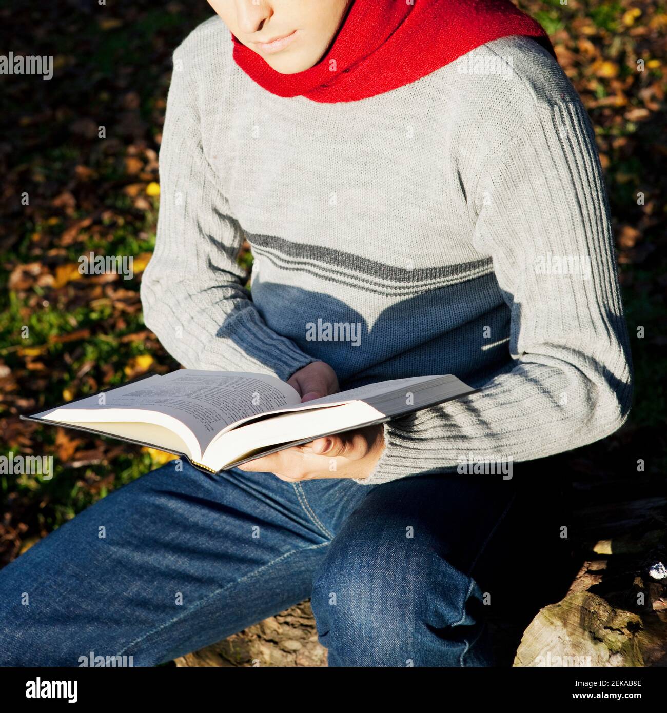 Man reading a book Stock Photo - Alamy