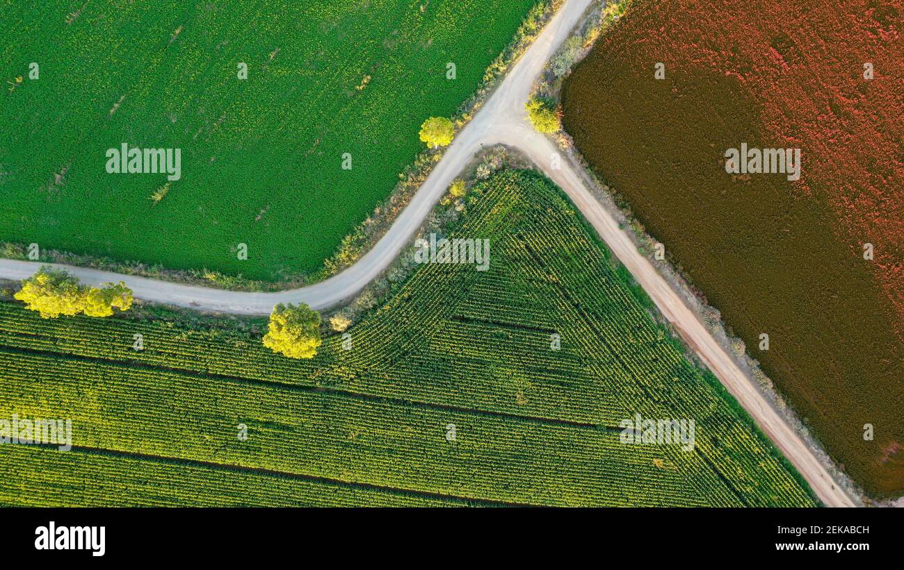 Aerial view of field and road Stock Photo - Alamy