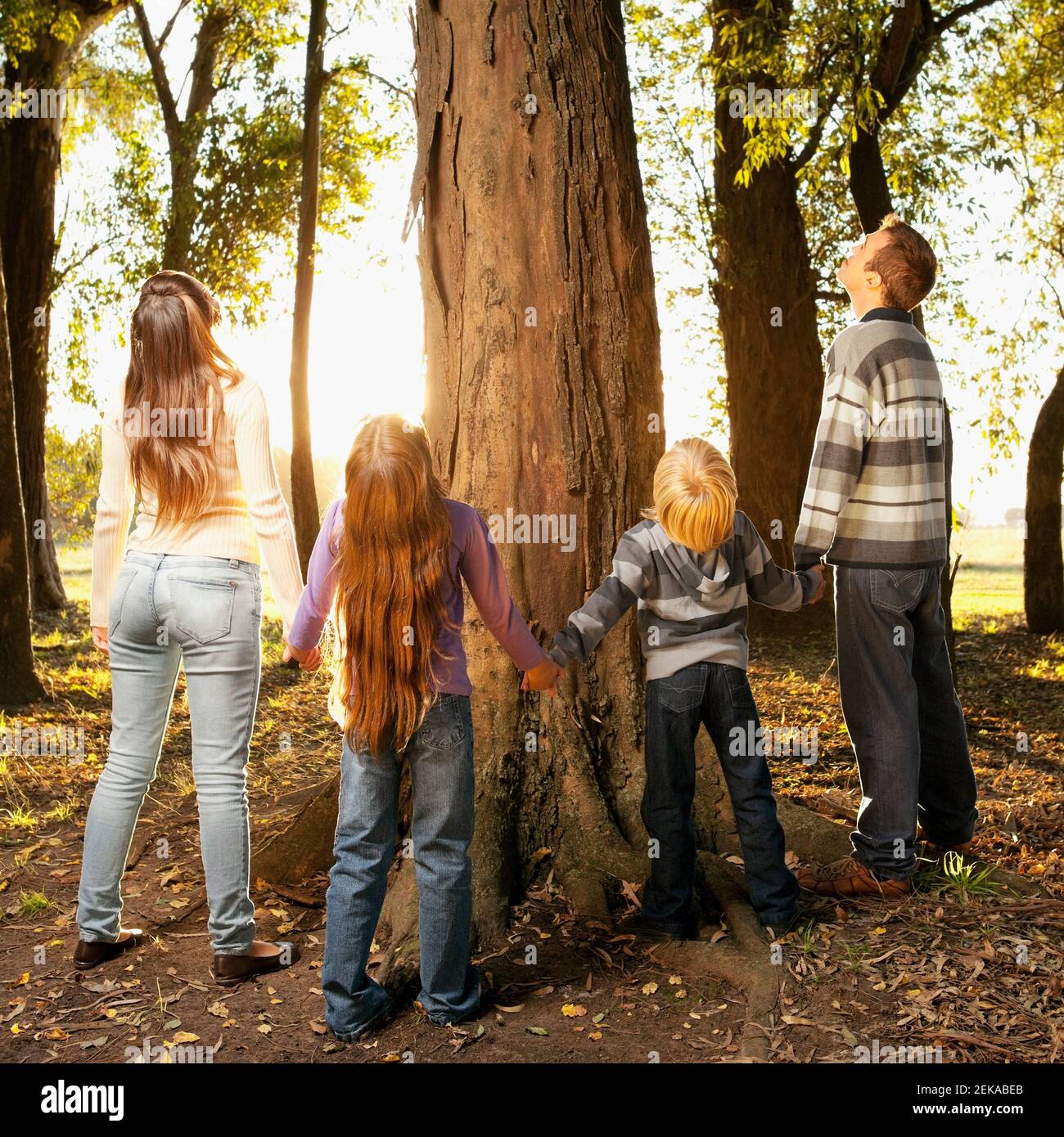 Family standing around a tree Stock Photo - Alamy