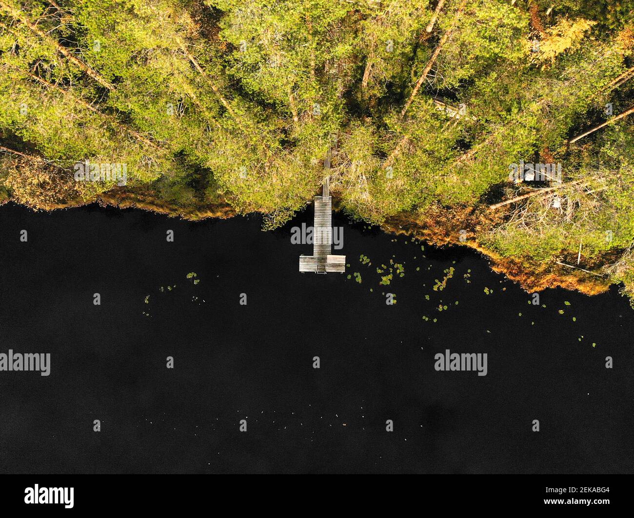 Summer day remote forest lake hi-res stock photography and images - Alamy