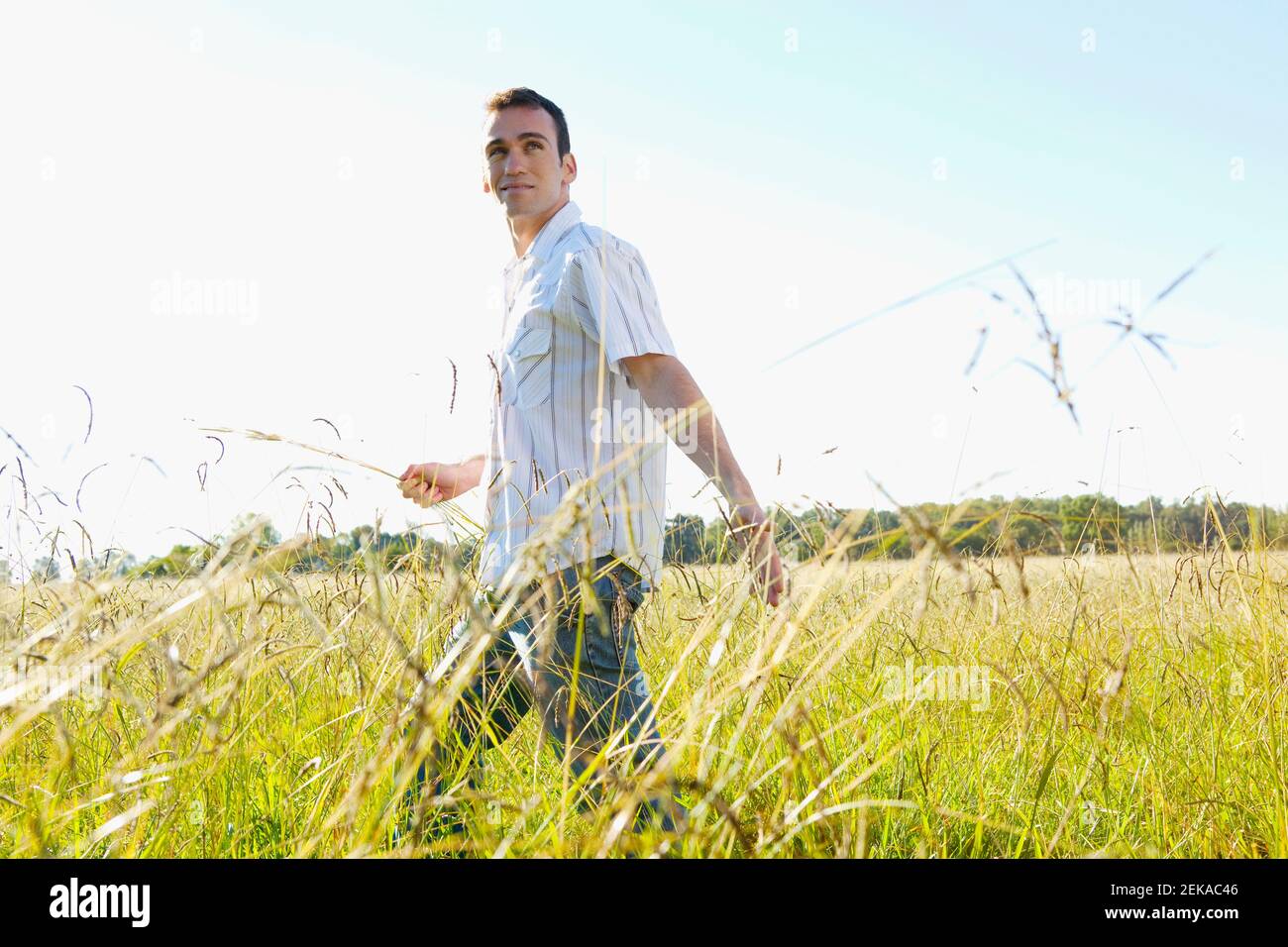 Man walking in a grassland Stock Photo - Alamy