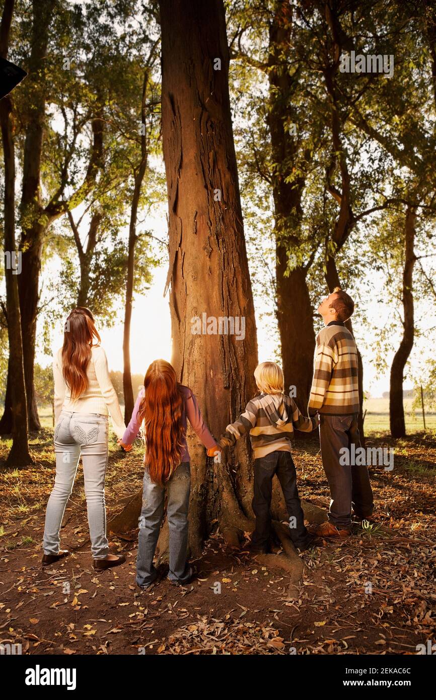 Family standing around a tree Stock Photo - Alamy