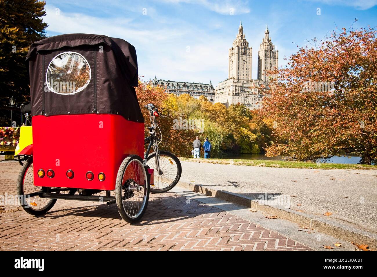 Pedicab in a park, Central Park, Manhattan, New York City, New York ...