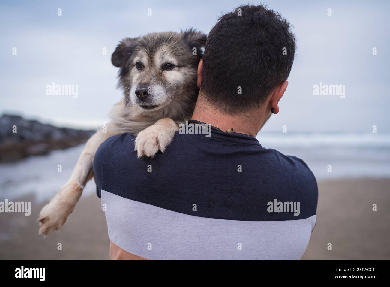 Man carrying his dog hi-res stock photography and images - Alamy