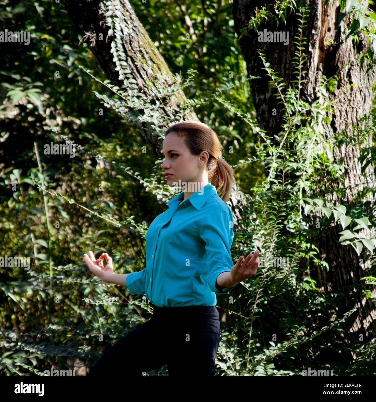 Business colleagues practicing yoga hi-res stock photography and images ...