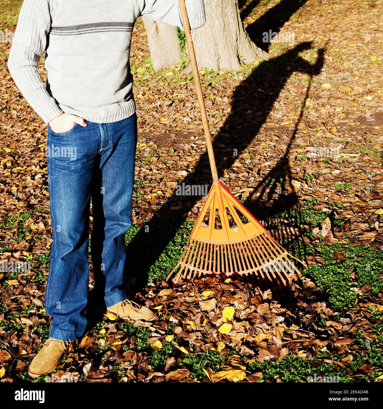 Man raking leaves Stock Photo - Alamy